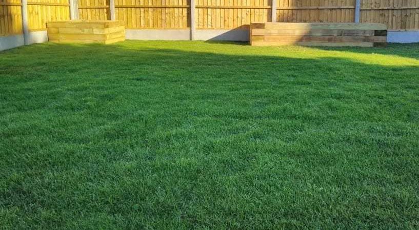 Lawn Turf Installer | Oilcanfinish Outdoor Living | Kingston | Wimbledon
